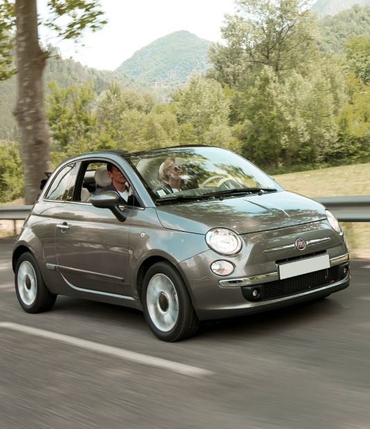 Auto noma biznesam - Avis