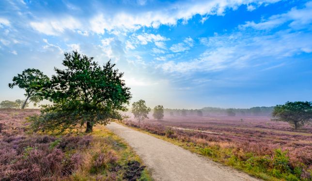 6 Best Netherlands Road Trip Routes to Explore - Avis