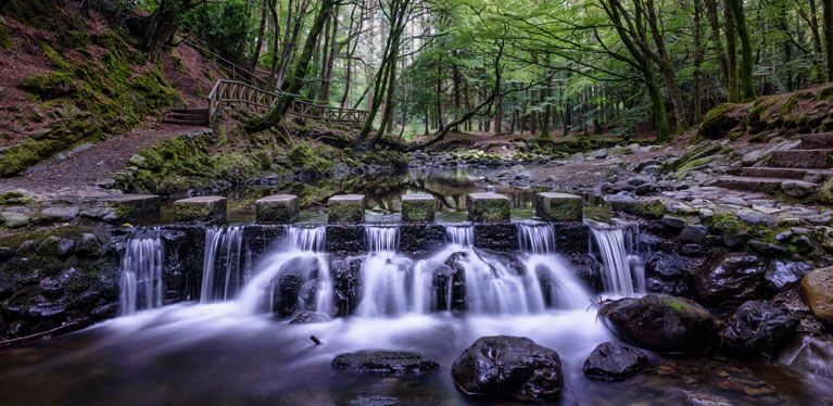 Rediscovering Narnia at Tollymore Forest Park
