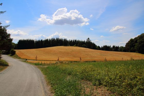 Beyond Copenhagen - the 5 best hiking destinations in Denmark