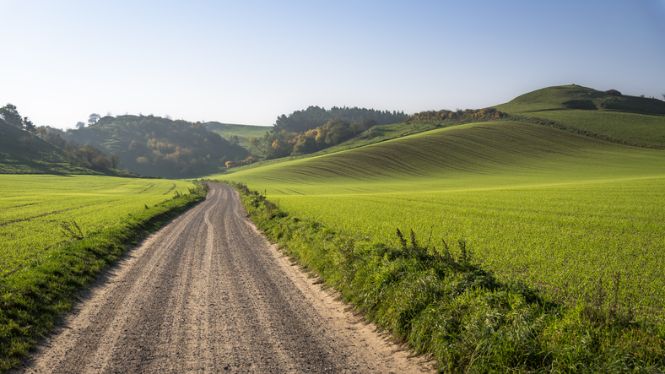 Beyond Copenhagen - the 5 best hiking destinations in Denmark