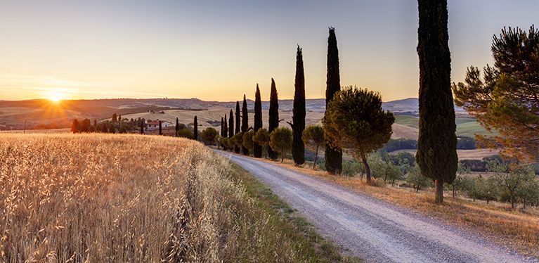 Autonoleggio Rent A Car in Italia e in tutto il mondo - Avis
