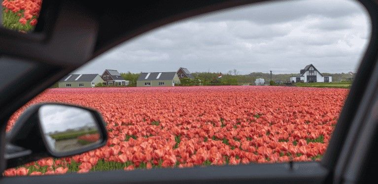 6 Best Netherlands Road Trip Routes to Explore - Avis