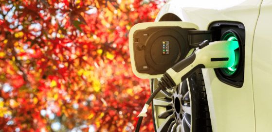 Inchirieri auto / masini electrice pentru persoane fizice - Avis Romania
