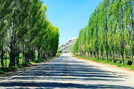 Avis Lebanon | Car rental in Beirut, Lebanon | Avis car hire Lebanon ...