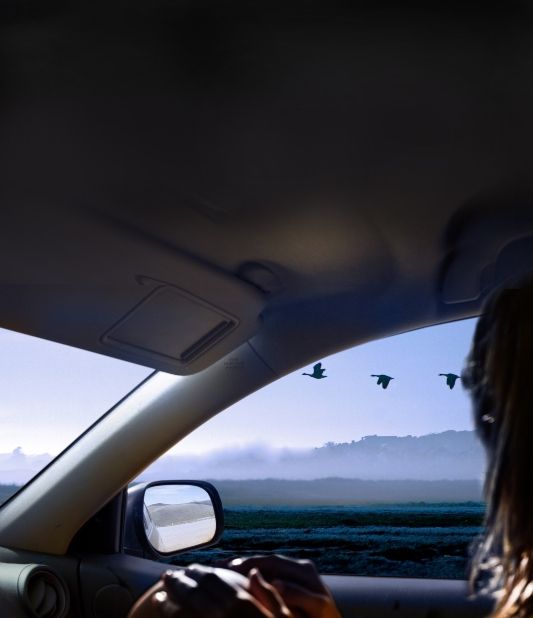 Welcome to Avis Malaysia